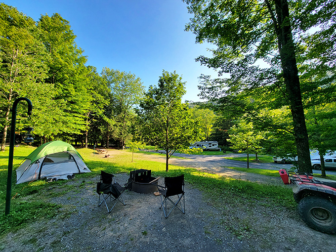Camping nirvana under a canopy of Pennsylvania green. This serene spot transforms ordinary tent dwellers into wilderness royalty with five-star forest views.