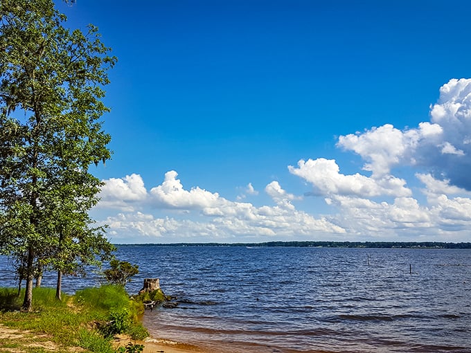 The kind of sky that makes you wonder if clouds are just having a really good hair day. Pamlico River stretches toward forever.