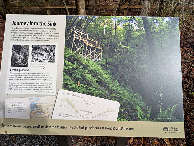 Mother Nature's own information booth. The journey into this geological time machine is well-documented for curious explorers.
