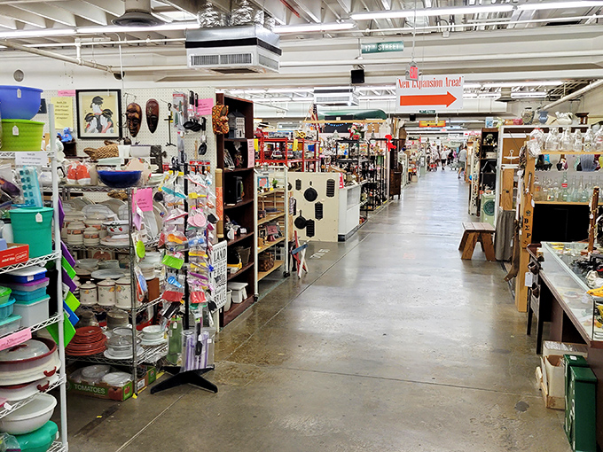 Every kitchen gadget your grandmother ever owned has somehow found its way here. Marie Kondo would have a panic attack!