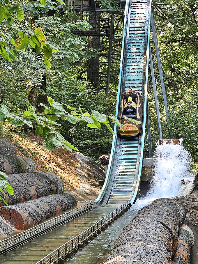 The Ice Mountain Bobsleds deliver just enough thrills without requiring a change of pants. Nature and adventure in perfect harmony! 