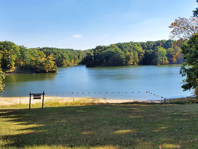 Nature's swimming pool comes complete with a roped-off area and the kind of serenity that makes you forget about your inbox entirely.