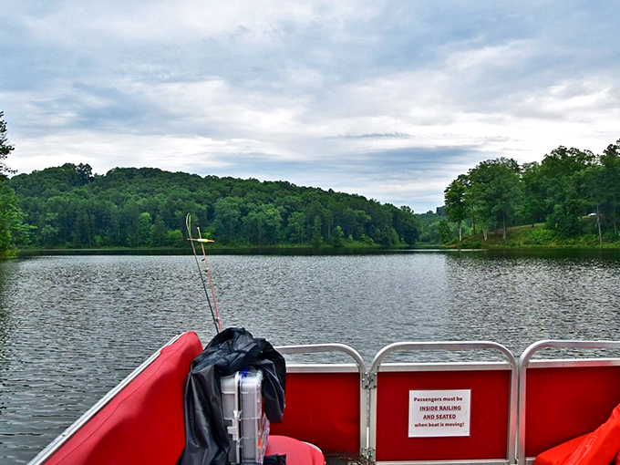 The captain's view never gets old. Electric motors only means you'll hear nothing but birdsong and the occasional splash of a curious fish.
