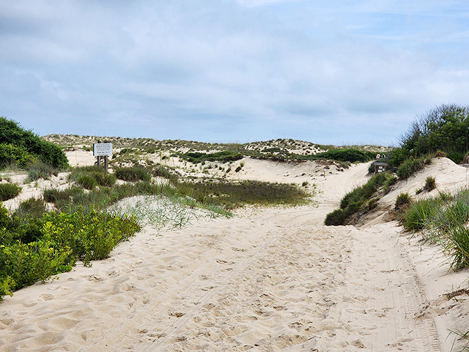 Nature's version of the yellow brick road&mdash;follow this sandy path through dunes that have stood guard against civilization for centuries.