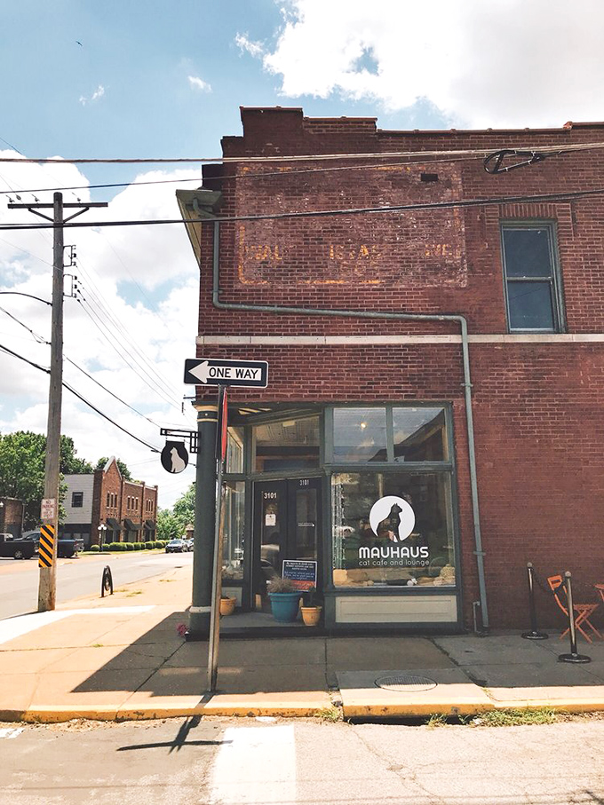 Brick building, quirky signage, and feline friends await inside. Mauhaus Cat Cafe is where coffee and cuddles create the purrfect afternoon.