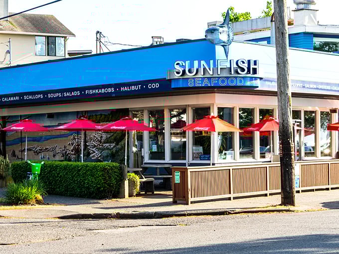 Sunfish's bright blue awning promises seafood salvation on Alki Beach. Those red umbrellas shelter crispy fish paradise!