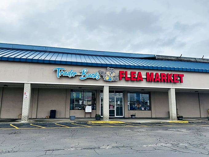 Trader Buck's entrance promises adventures in bargain hunting. Like a casino for collectors, you never know what jackpot awaits inside!