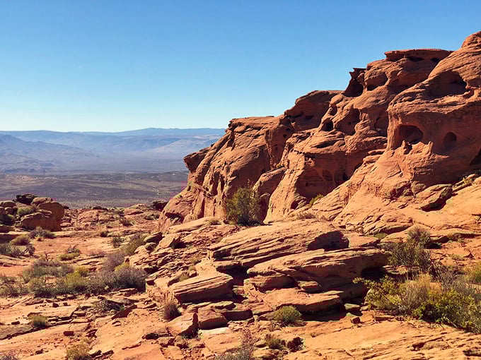 Washington's stunning landscape offers the visual wealth of a national park with property taxes that won't break the bank.
