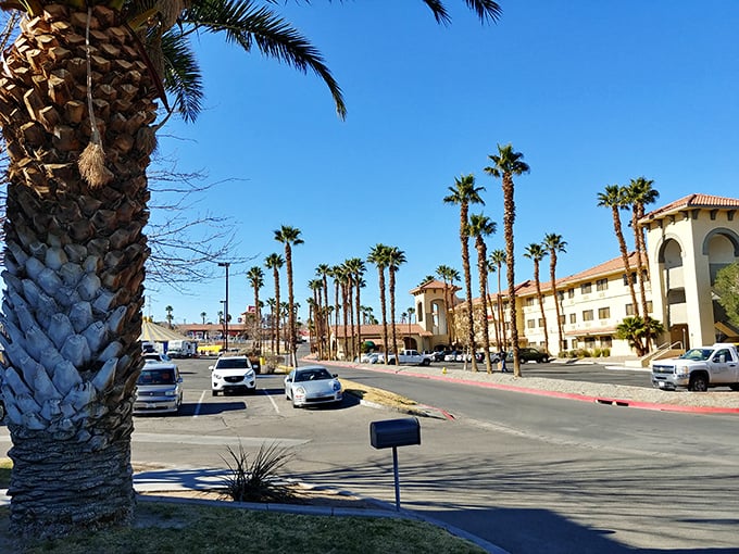 Palm trees line Barstow's Main Street, where Route 66 nostalgia meets desert affordability in this hidden retirement gem.