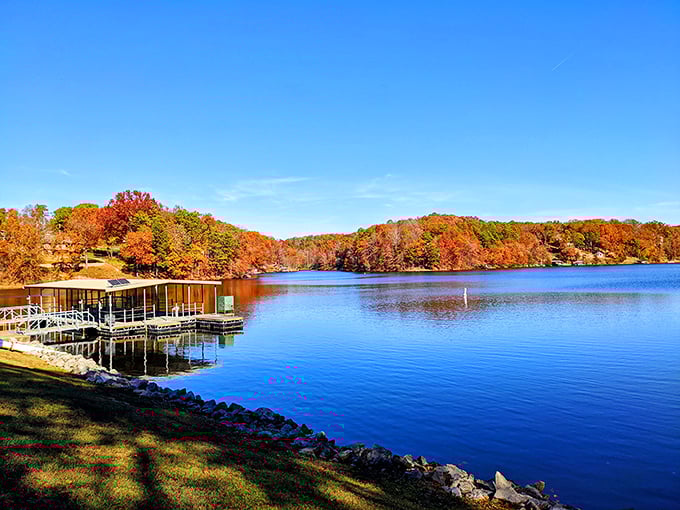 Bella Vista&rsquo;s lake in fall? Like a screensaver came to life&mdash;only quieter and with better air.