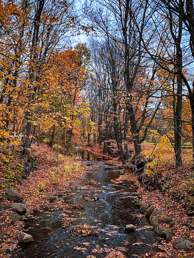 Autumn in East Aurora paints the perfect small-town picture, with streams and foliage creating scenes worthy of a jigsaw puzzle.