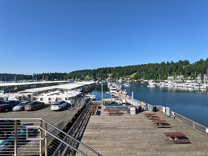 Victorian charm meets modern convenience where your Social Security stretches further than expected in this maritime gem.