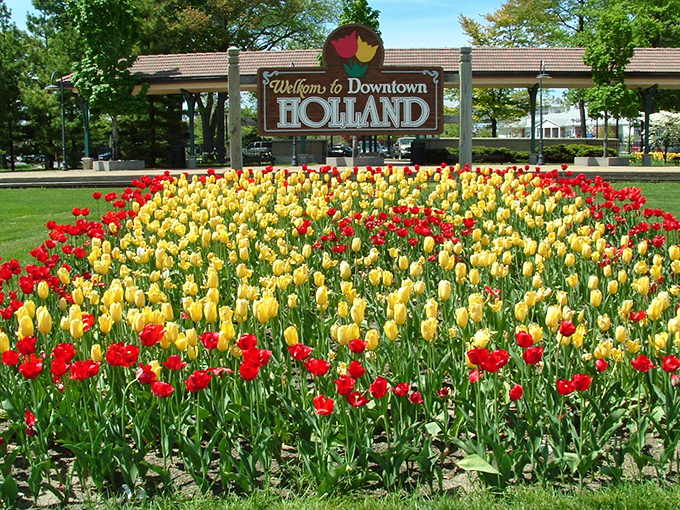 A sea of tulips welcomes visitors to Holland each spring, proving that the Dutch really know how to make an entrance.