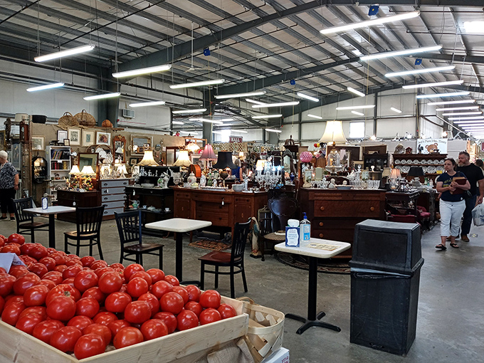 Wait, are those dresser drawers or time machines? Each Lakewood 400 display holds stories from the past just waiting for new chapters.