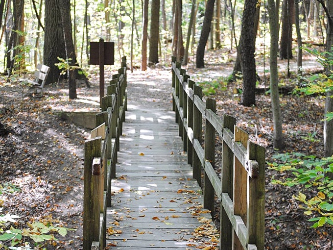 In Milford, even the streetlights seem to glow with extra warmth, illuminating a main street where hurrying is practically forbidden.