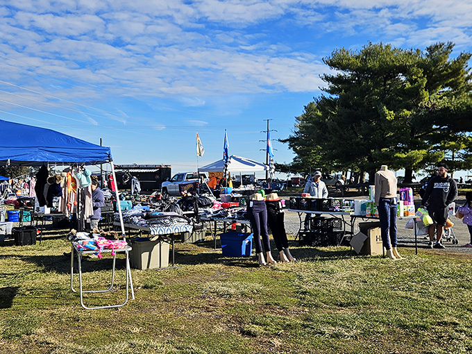 Practical magic happens here! Where everyday necessities and surprising bargains share table space under Shen-Valley's rustic wooden canopy.