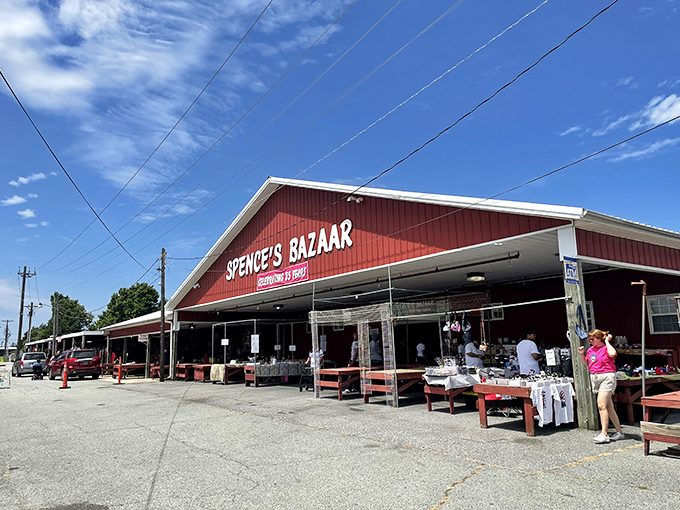 Sunshine, shoppers, and surprises galore - Spence's outdoor market area is where the real wheeling and dealing happens.