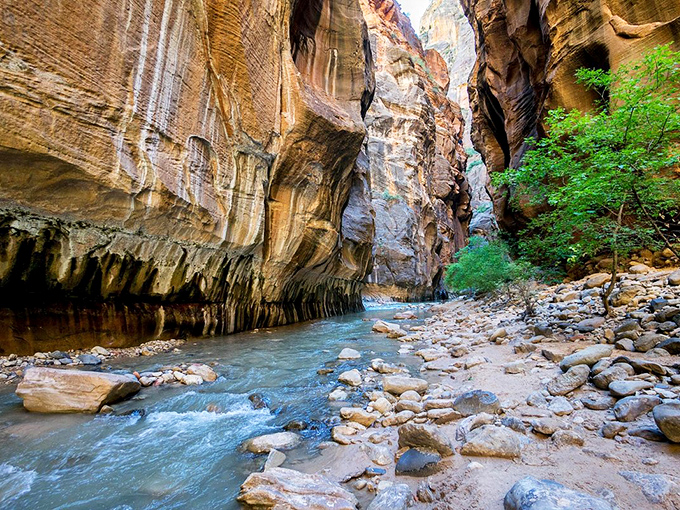 The Narrows at Zion National Park&mdash;where hiking through water makes you feel like you're in nature's cathedral.