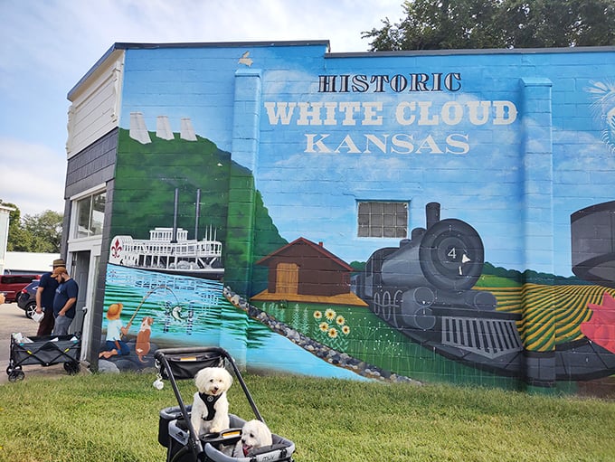 Bargain hunters and history buffs unite! White Cloud's flea market delivers small-town charm with big-time finds.