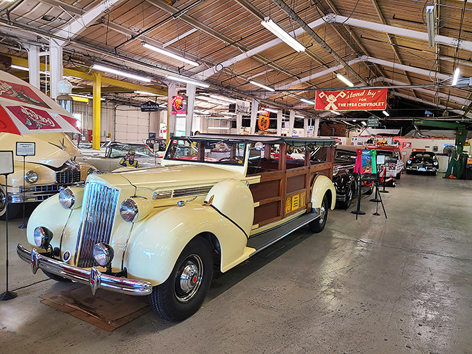 This cream-colored 1939 Packard Safari combines luxury with adventure. Wooden accents and whitewall tires transport you to an era of elegant road trips.