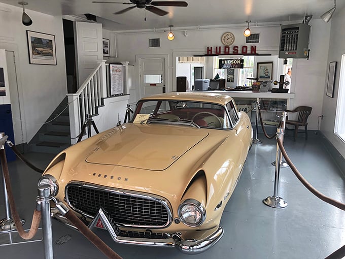 The 1954 Hudson Italia gleams in cream perfection, a rare beauty that combines Italian styling with American muscle &ndash; like Sophia Loren in a Detroit Tigers cap.
