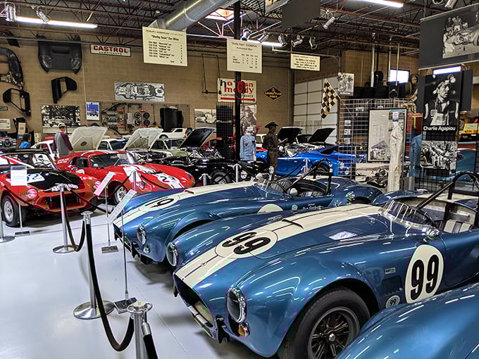 Blue beauty meets racing history &ndash; these Cobras aren't the slithering kind, but they'll still make your heart race faster than a double espresso.