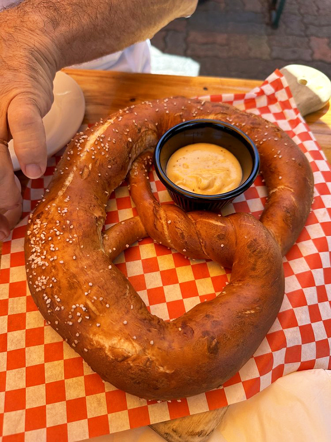 Not all heroes wear capes &ndash; some wear salt crystals. This pretzel has the golden-brown perfection that would make a Bavarian baker weep with joy.