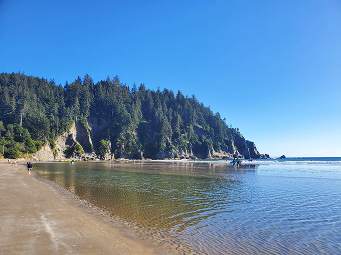 Crystal clear waters reflecting cloudless skies create that rare beach day when Oregon decides to impersonate the Mediterranean.