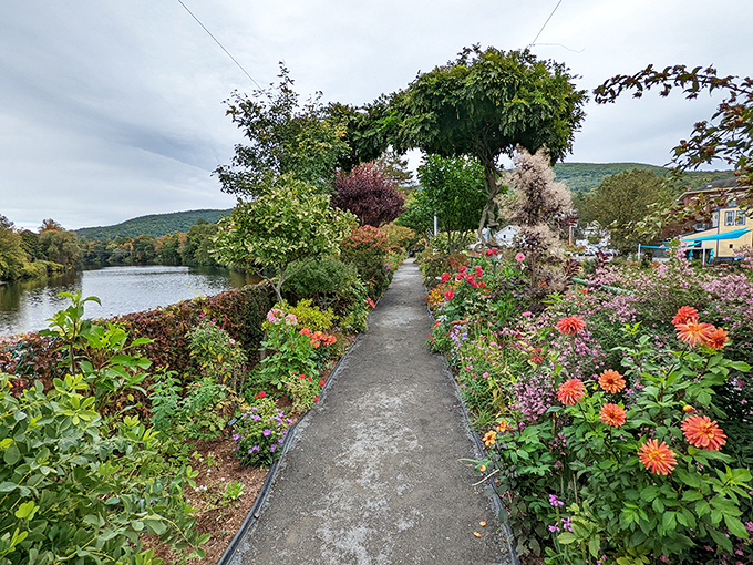The Bridge of Flowers transforms a utilitarian crossing into a botanical runway, where dahlias and daisies compete for your attention like friendly neighbors.