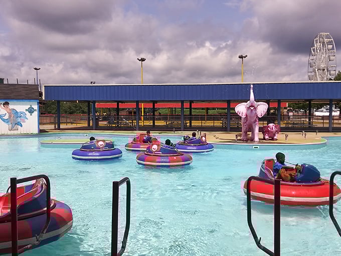 Nothing beats Georgia heat like battling family members in bumper boats! That pink elephant knows he's witnessing generational rivalries play out in chlorinated splendor.