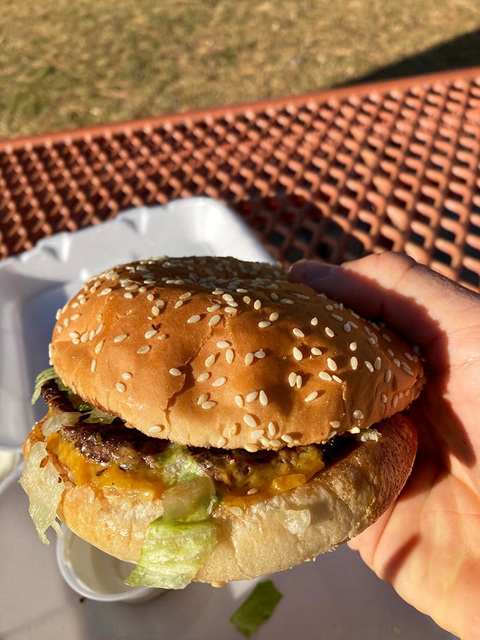 Behold the humble cheeseburger in its natural habitat&mdash;sesame-speckled bun, melty cheese, and a patty that means business.