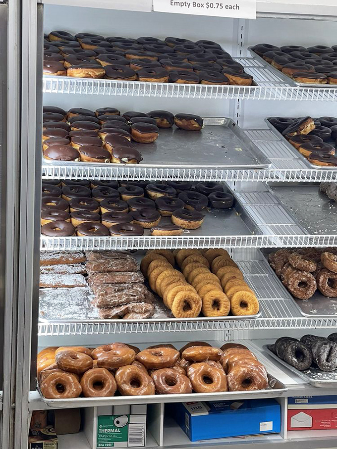 Chocolate-glazed soldiers standing at attention, ready for deployment to happy homes across Maryland. The glossy sheen promises a perfect sugar rush.