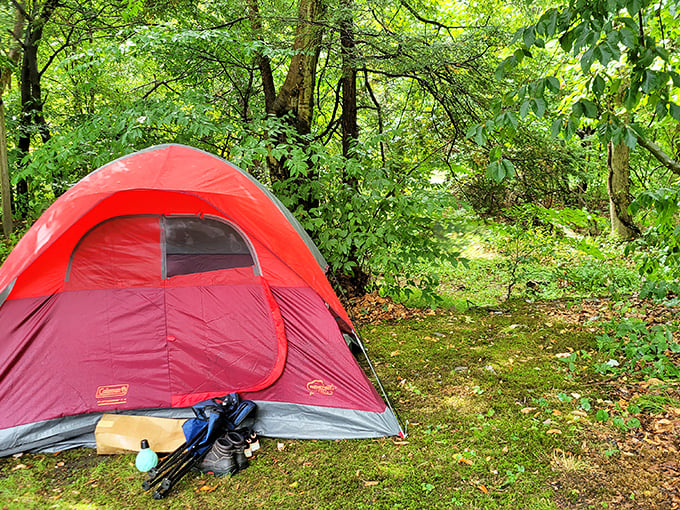 Camping doesn't get more picturesque than this&mdash;a bright red tent nestled in verdant surroundings, like a cozy comma in nature's endless paragraph.