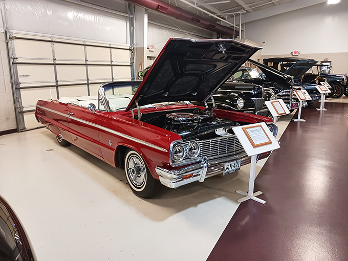 Like a scene from "Back to the Future" without the flux capacitor, these meticulously displayed classics showcase the evolution of American engineering and style.