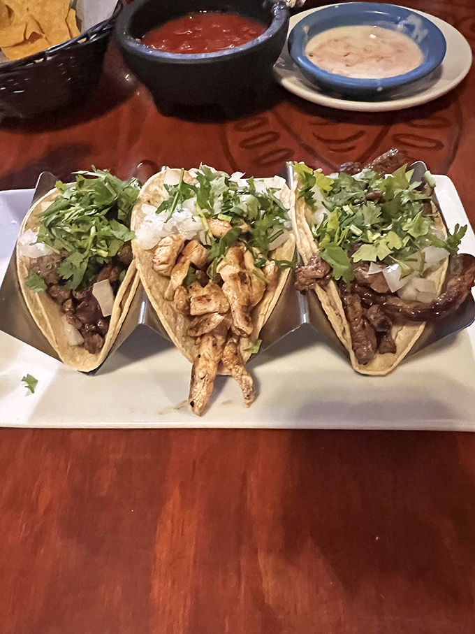 Three amigos of the taco world&mdash;steak, chicken, and carnitas&mdash;dressed traditionally with cilantro and onion, ready for their salsa bath.