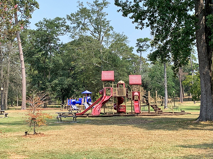 Where childhood laughter meets retirement leisure &ndash; Laurel's parks offer recreation without membership fees, just genuine community spaces.