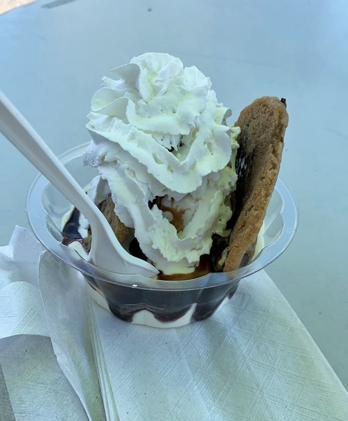 Cookie meets ice cream in this perfect marriage of textures. The warm cookie pieces against cold vanilla soft serve create that magical temperature contrast worth every calorie.