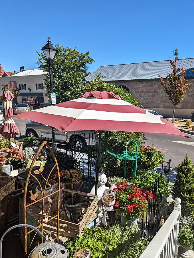 This charming outdoor display area feels like someone's carefully curated garden party, where every vintage item tells a story.