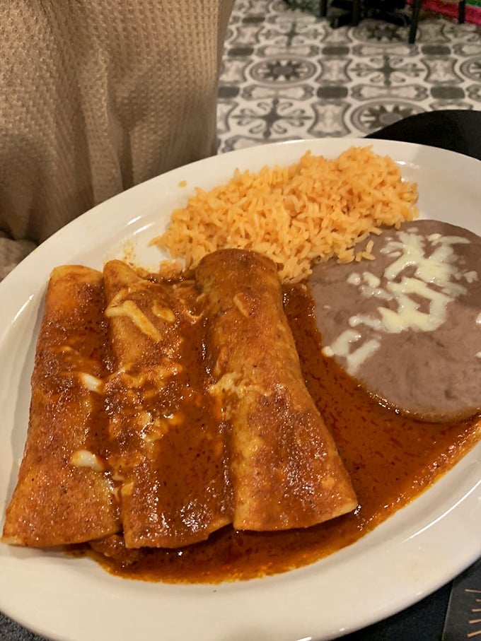 Enchiladas bathed in rich red sauce that looks like it's been simmering since yesterday, nestled against rice that actually tastes like something. Revolutionary concept!