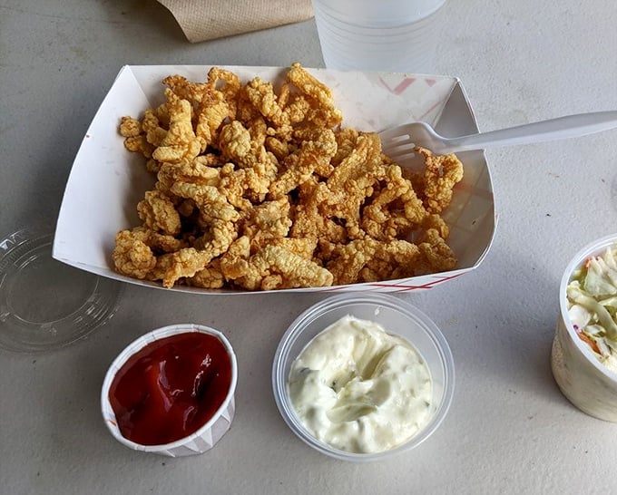 Golden-fried whole belly clams that crunch then melt, creating that moment when conversation stops and only appreciative nods remain.