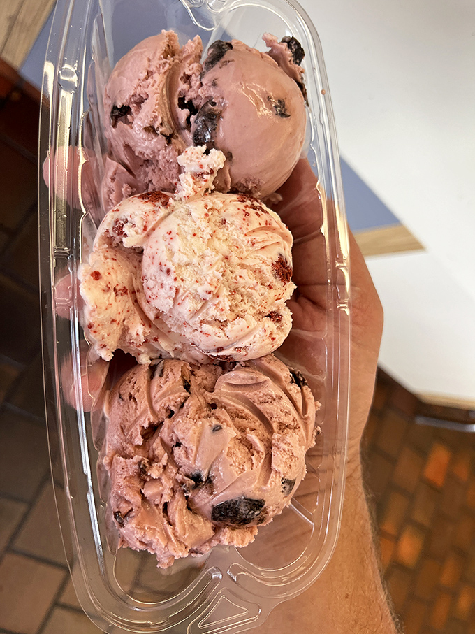 Three scoops of heaven in a plastic container. This isn't just ice cream&mdash;it's therapy that costs less than a session with your therapist.