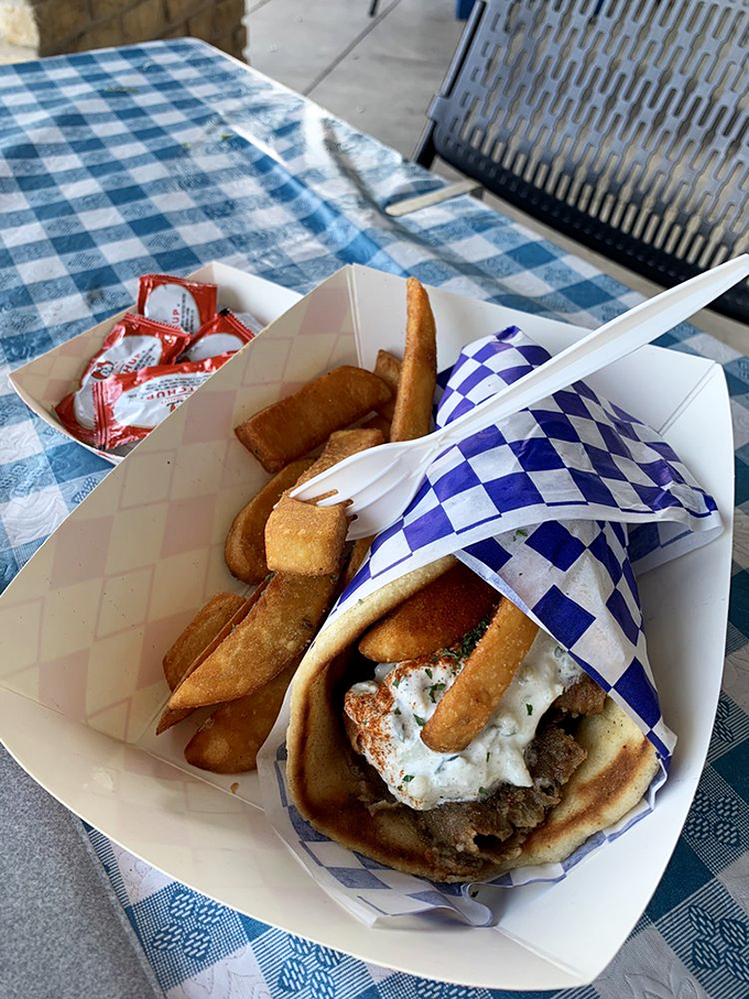 A gyro and fries that would make Zeus himself put down his thunderbolt and pick up a fork. Divine intervention in food form.