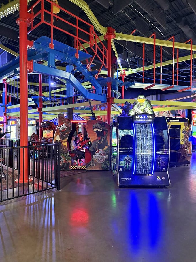 A multi-level indoor playground that makes adult knees ache just looking at it. Kids navigate this colorful labyrinth with the fearlessness of seasoned explorers.