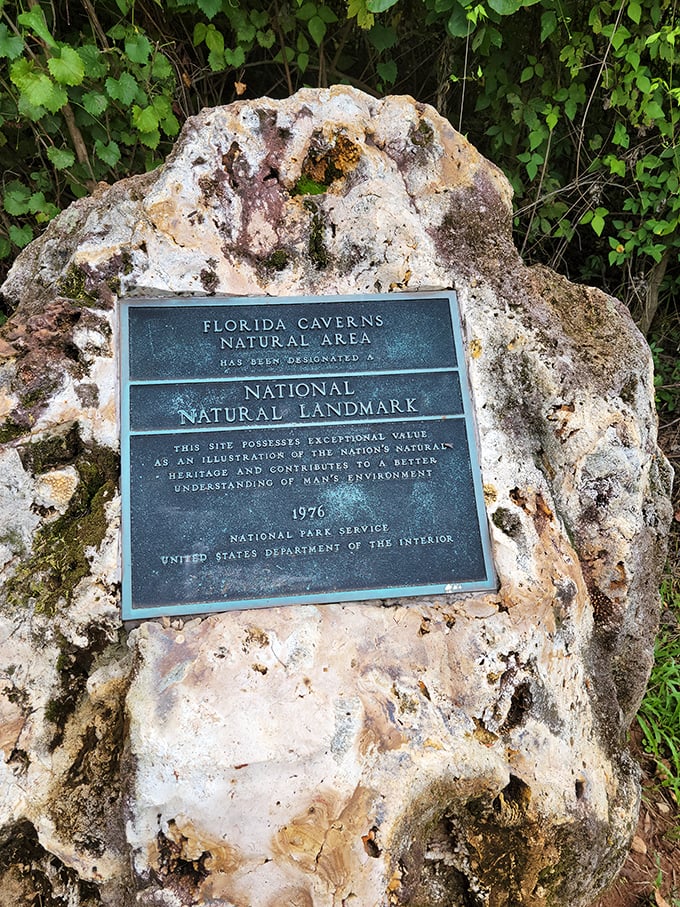 A National Natural Landmark since 1976, Florida Caverns earned its status by simply being its spectacular self for a few million years.