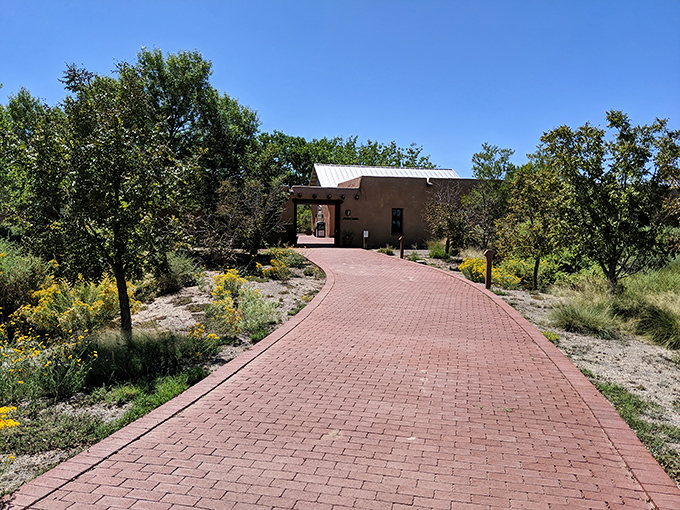 Nature creates its own Southwestern art gallery at Mesilla Valley Bosque State Park, where brick pathways lead to desert discoveries.
