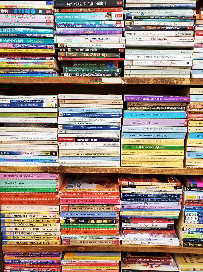 A rainbow of spines tells stories before you even open them. The Little House series nestles comfortably alongside literary classics.
