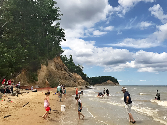 Fossil hunting becomes a family affair at Calvert Cliffs. These folks aren't just finding shark teeth&mdash;they're holding millions of years in their hands!