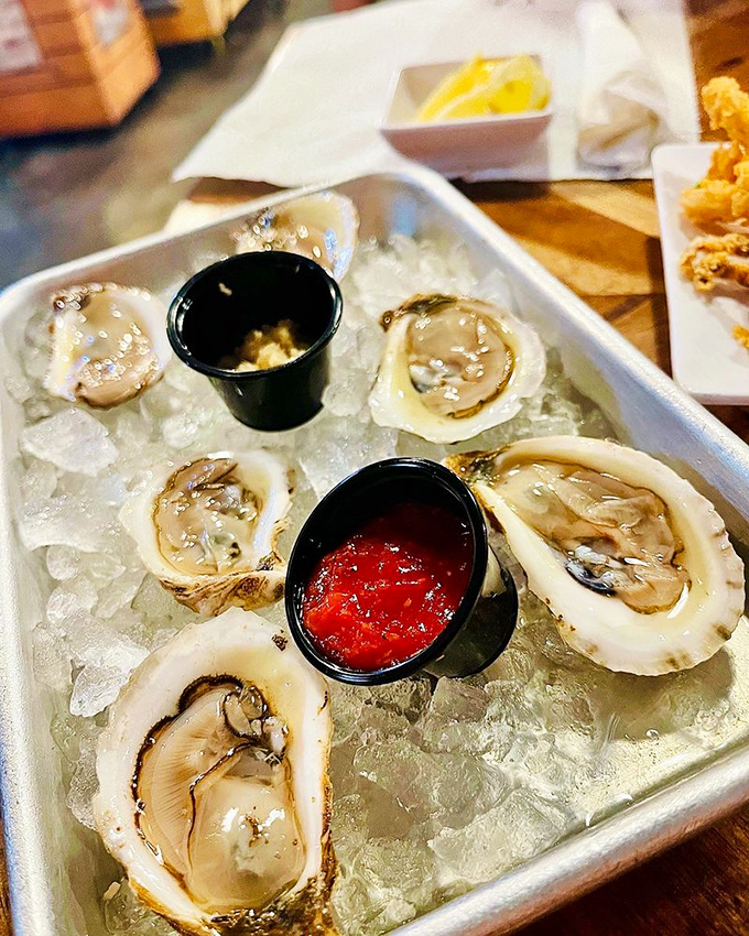 Fresh oysters on ice—nature's perfect appetizer. These briny jewels arrive daily from distant shores to landlocked Arkansas, a miracle of modern logistics.