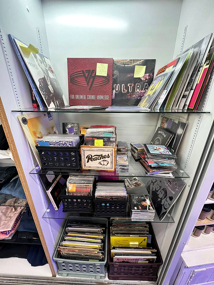 Vinyl paradise! From Van Halen to Peaches, these record shelves are time machines disguised as plastic discs, waiting to transport you back to your teenage bedroom.