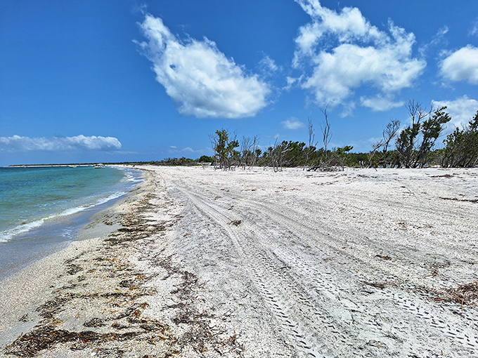 Mother Nature's tire tracks mark one of Florida's last wild beaches. No beach chair rental guys here&mdash;just you, the sand, and endless possibilities.